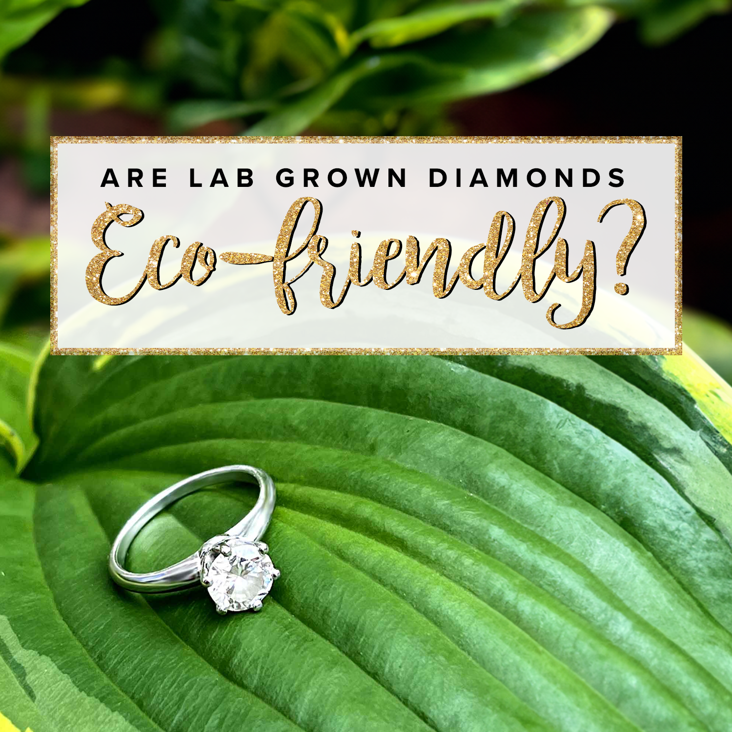 Are Lab Grown Diamonds Eco-friendly? – Steven Singer Jewelers