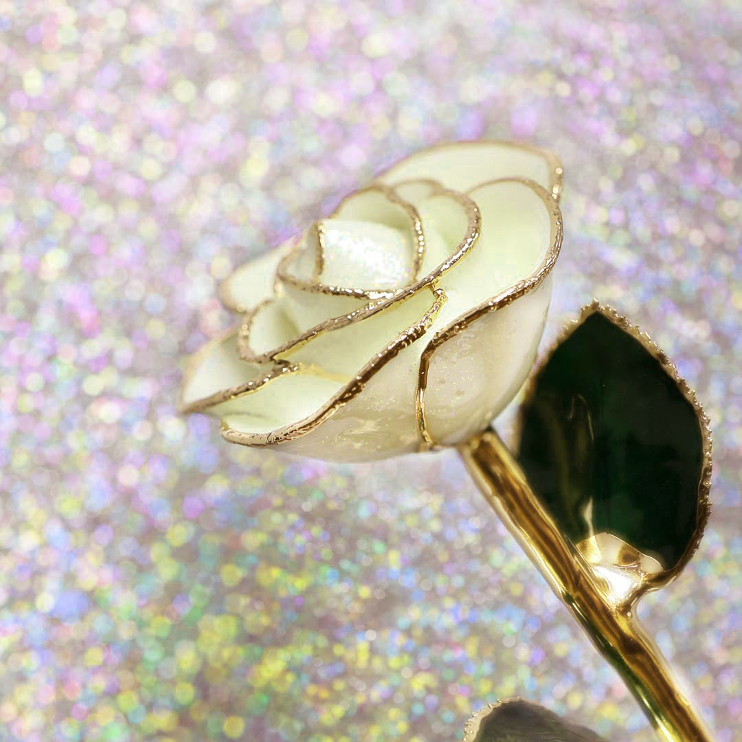 24 Karat Gold Dipped Roses | Steven Singer Jewelers