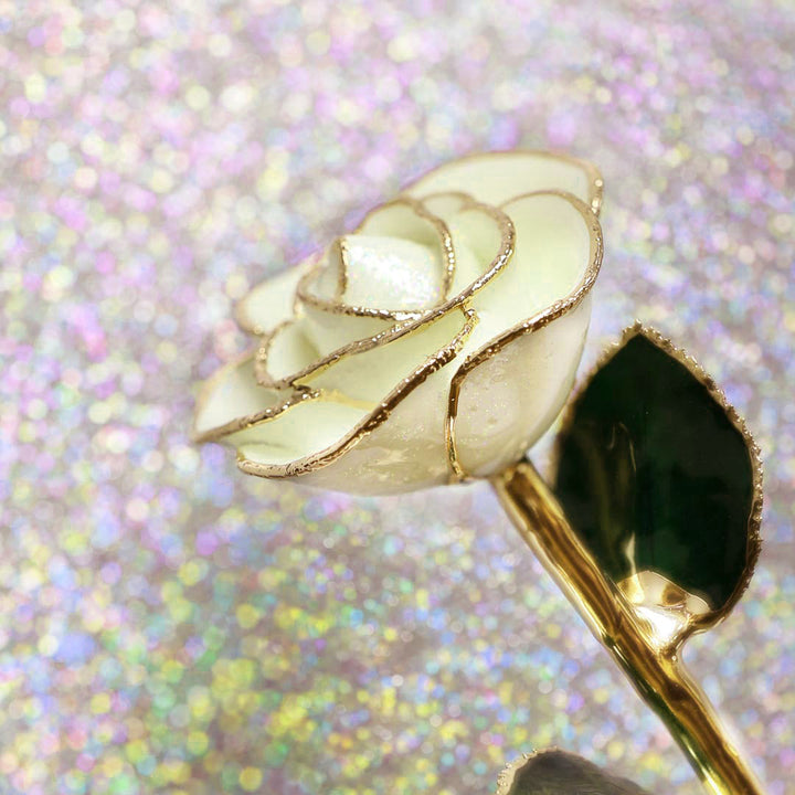 24 Karat Gold Dipped Roses | Steven Singer Jewelers