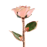 24 Karat Gold Dipped Roses | Steven Singer Jewelers