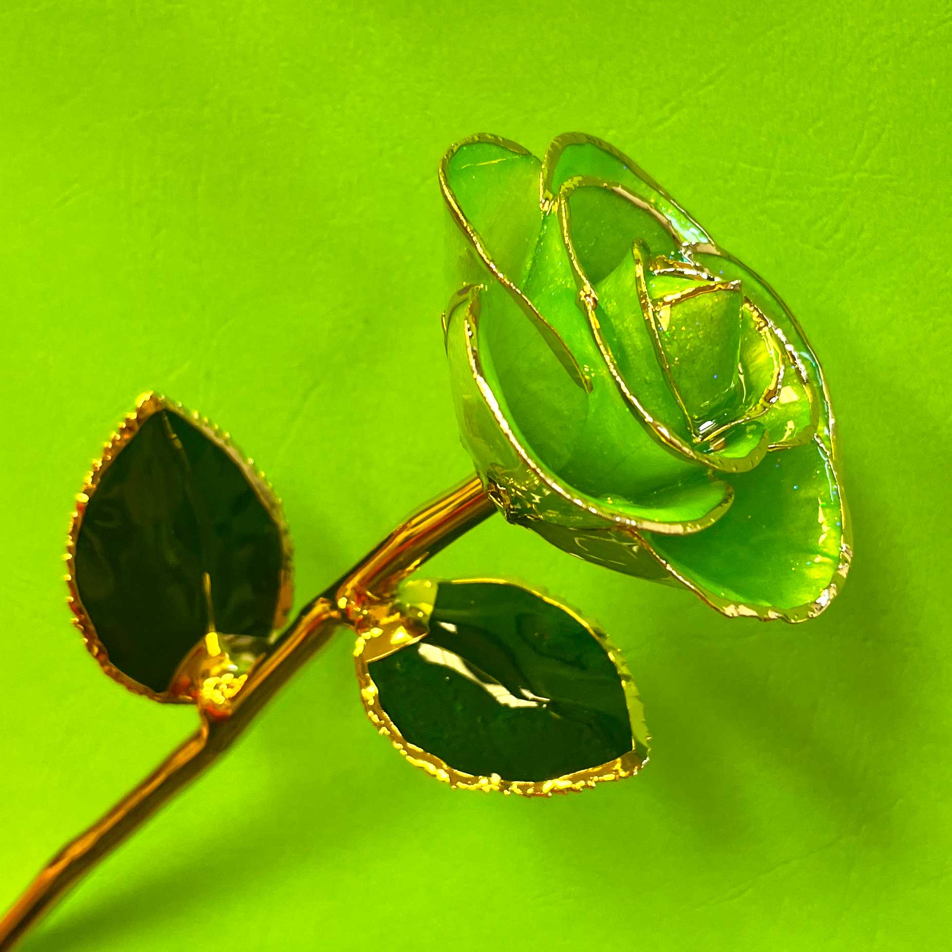Neon Green 24kt Gold Dipped Rose – Steven Singer Jewelers