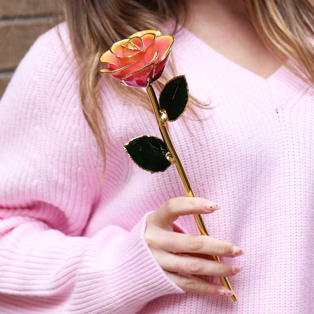 Sunset 24kt Gold Dipped Rose – Steven Singer Jewelers