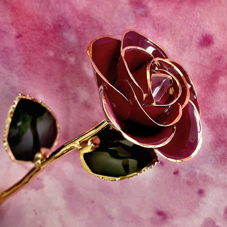Red Wine 24kt Gold Dipped Rose – Steven Singer Jewelers