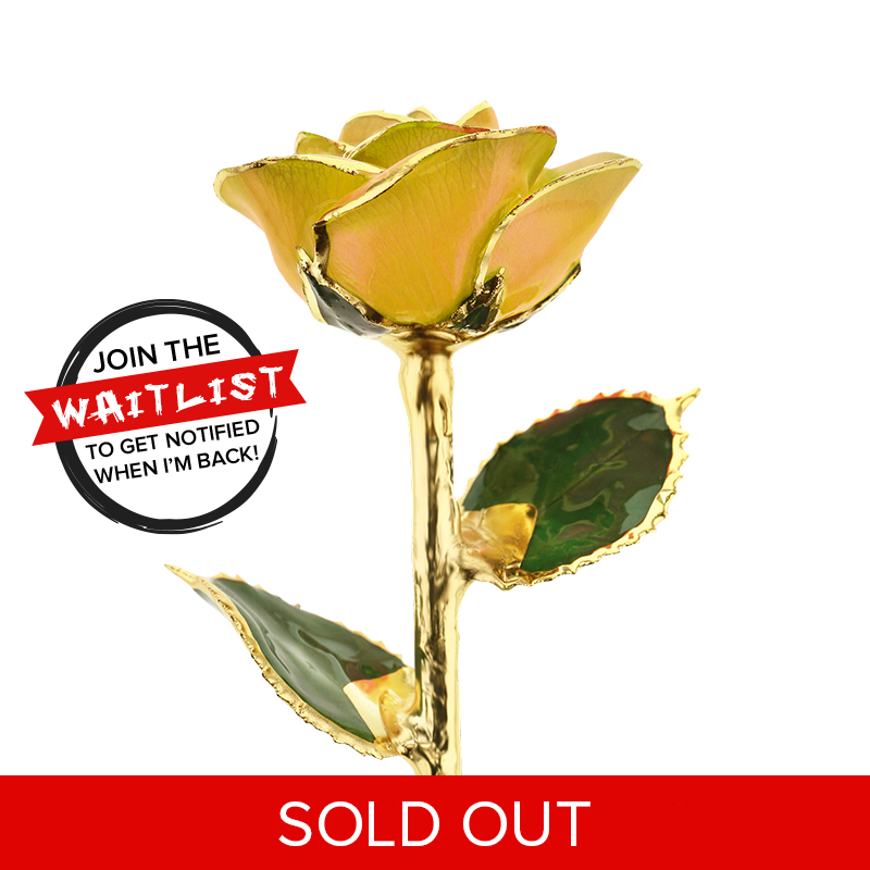 Mother's Love Yellow 24kt Gold Dipped Rose – Steven Singer Jewelers