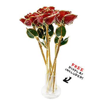 Anniversary Gifts – Steven Singer Jewelers